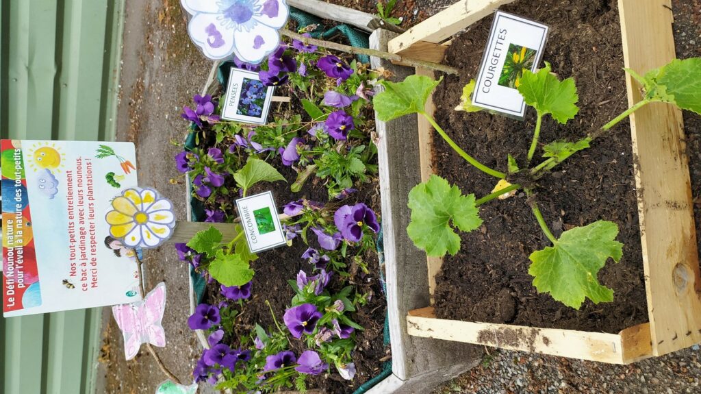 Coin potager – Défi Nounou Nature
