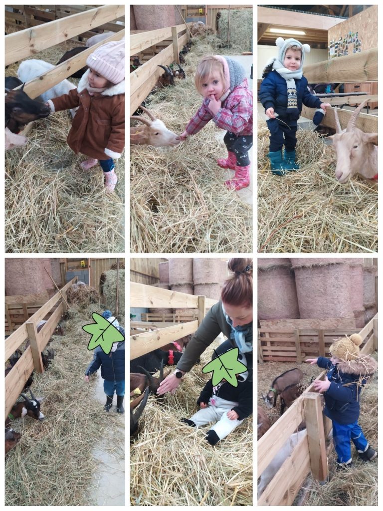 Visite au potager – Défi Nounou Nature