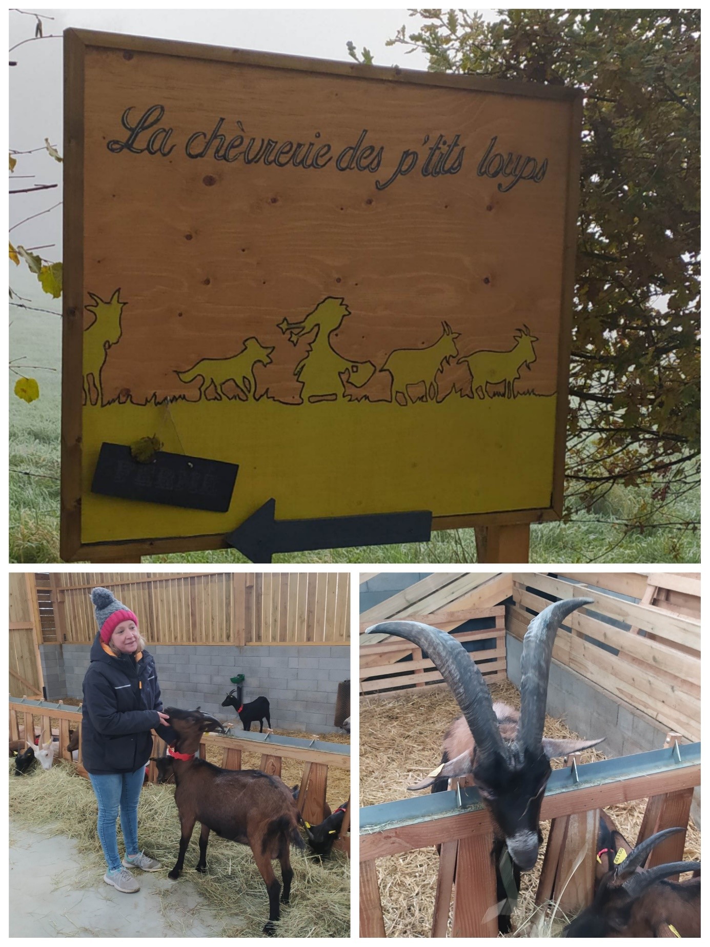 Jeu libre en forêt #3 – Défi Nounou Nature