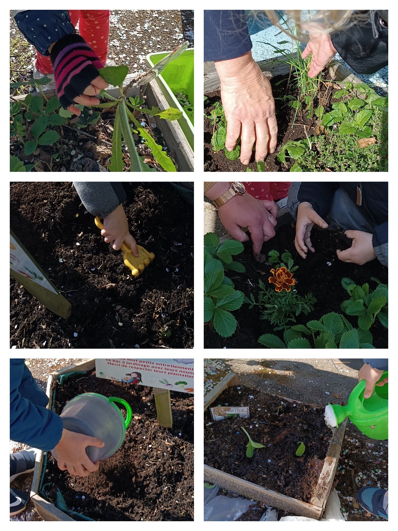 Remise en état du potager – Défi Nounou Nature