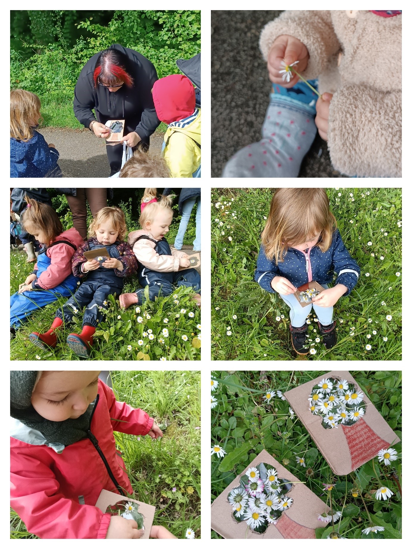 Balade fleurie – Défi Nounou Nature