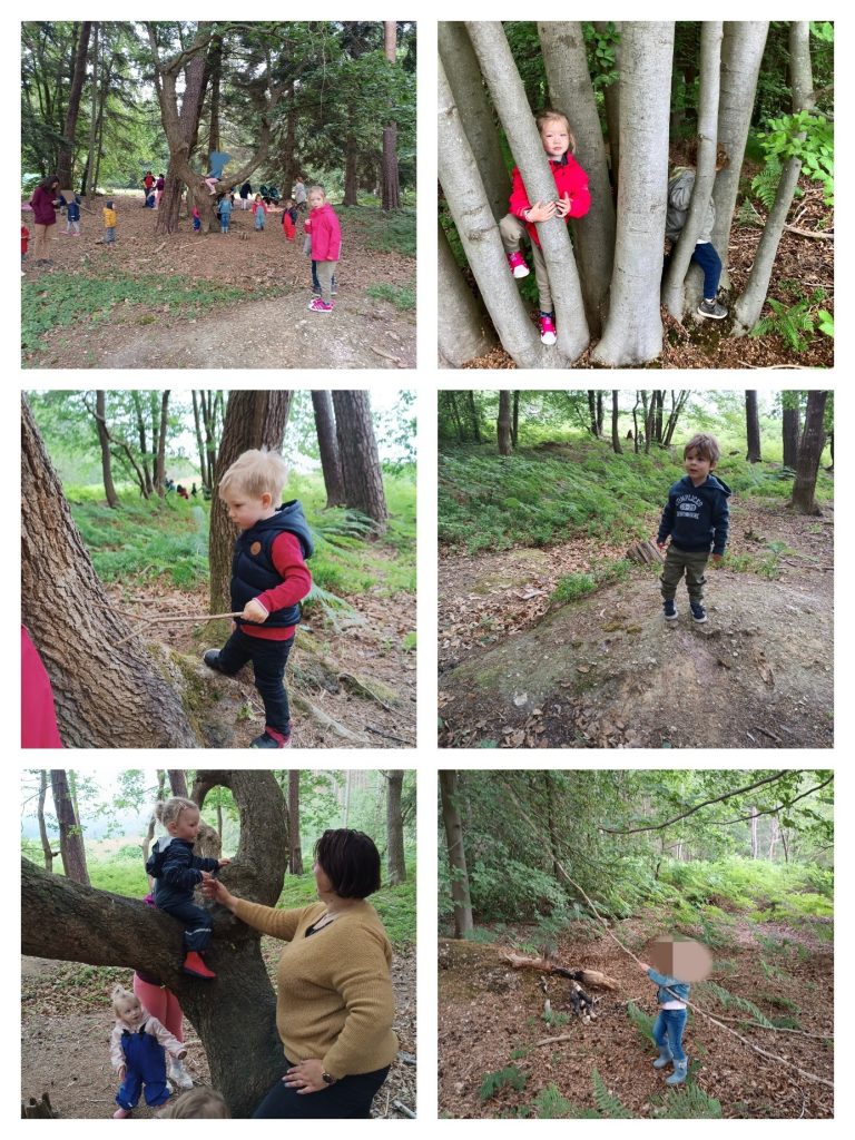 Jeu libre en forêt #6 – Défi Nounou Nature